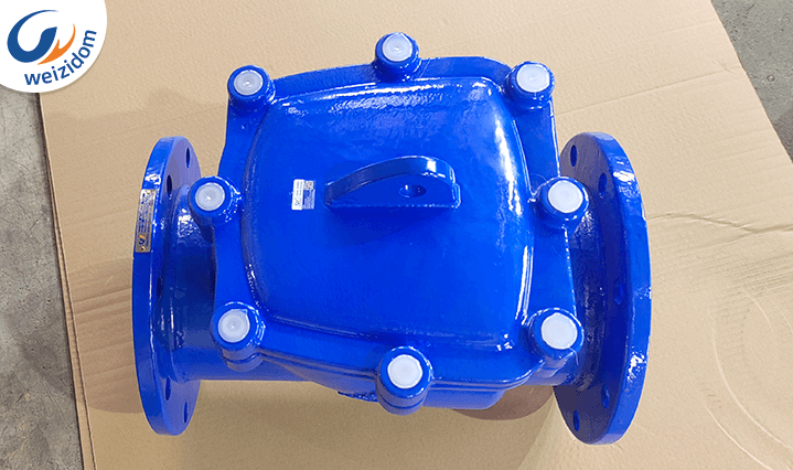 Get It Done! Master Check Valve Installation in Just Three Minutes ...